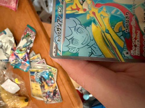 ポケモンカードゲーム(ポケカ) ホップのザシアンex SR [SV9 118 ポケモンカードゲーム(ポケカ) ホップのザシアンex SR [SV9 118
